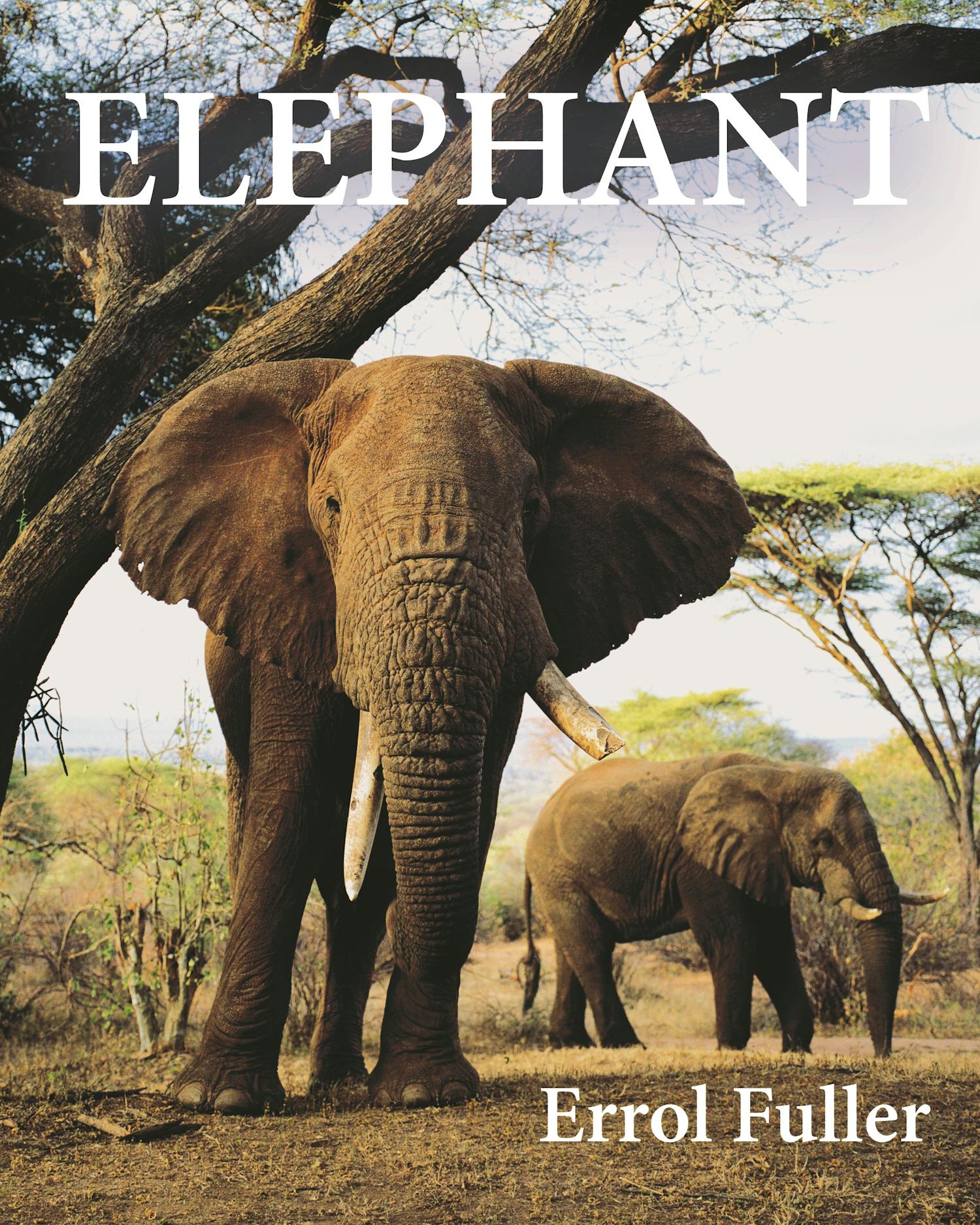 Elephant | Princeton University Press
