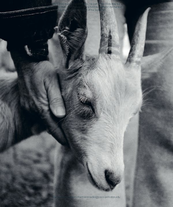 The Goat | Princeton University Press