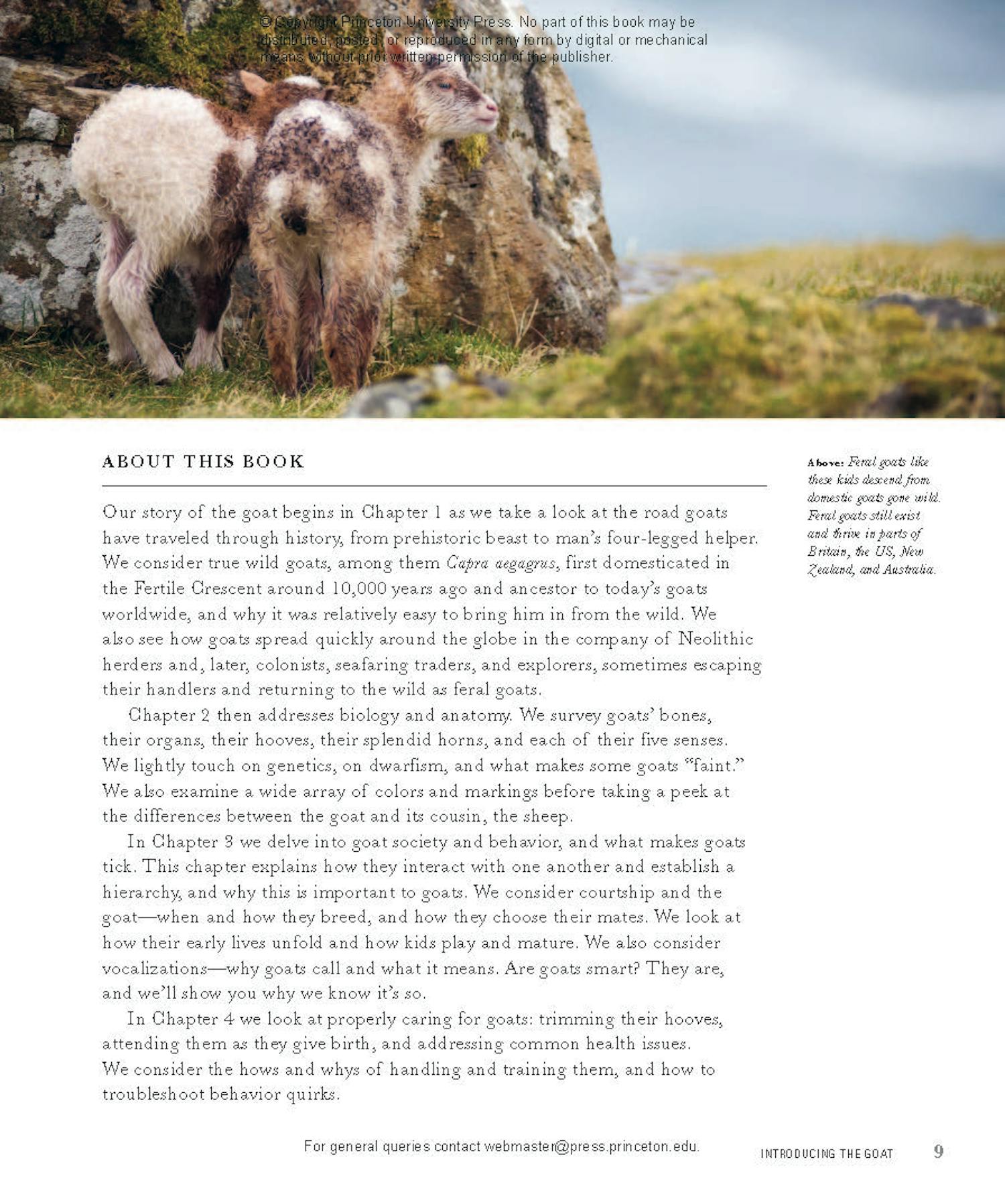 The Goat | Princeton University Press