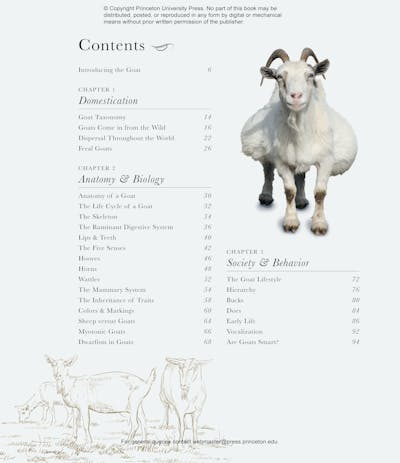The Goat | Princeton University Press