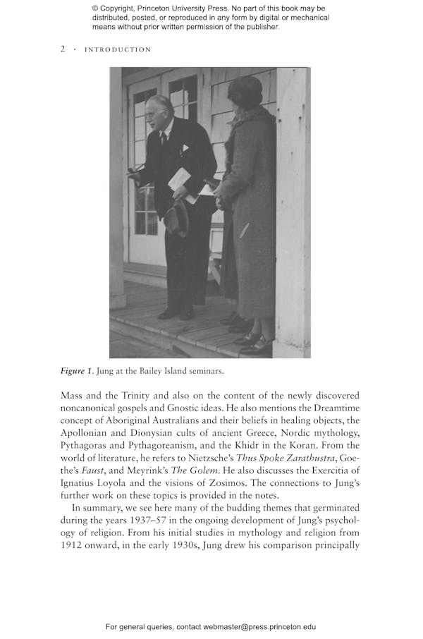 Dream Symbols of the Individuation Process | Princeton University Press