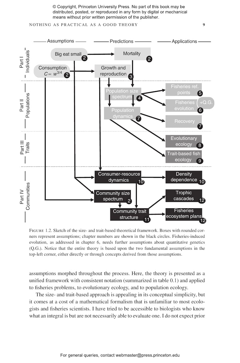 Fish Ecology, Evolution, and Exploitation | Princeton University Press