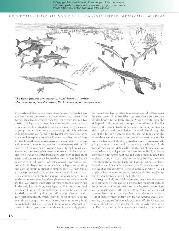 The Princeton Field Guide to Mesozoic Sea Reptiles | Princeton ...