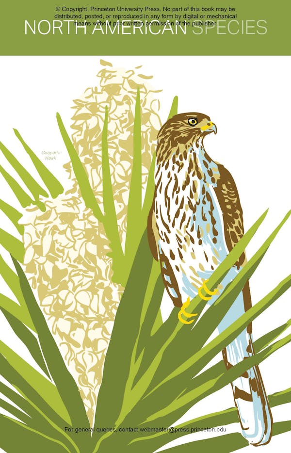 Birder's Life List & Journal | Princeton University Press