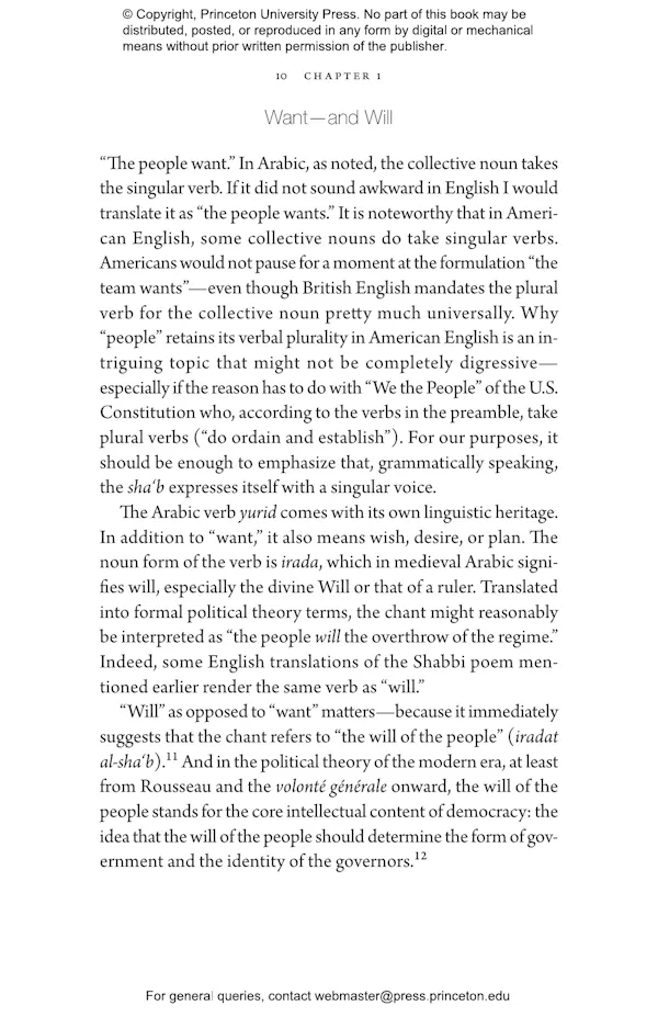 The Arab Winter | Princeton University Press