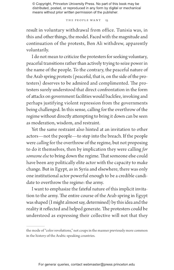 The Arab Winter | Princeton University Press