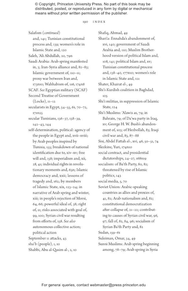 The Arab Winter | Princeton University Press