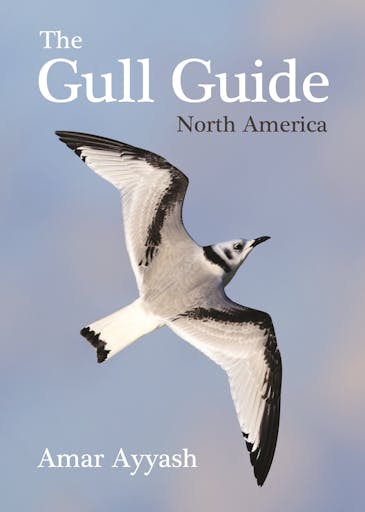 The Gull Guide | Princeton University Press