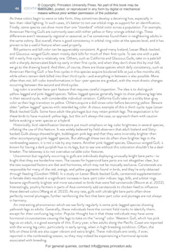 The Gull Guide | Princeton University Press