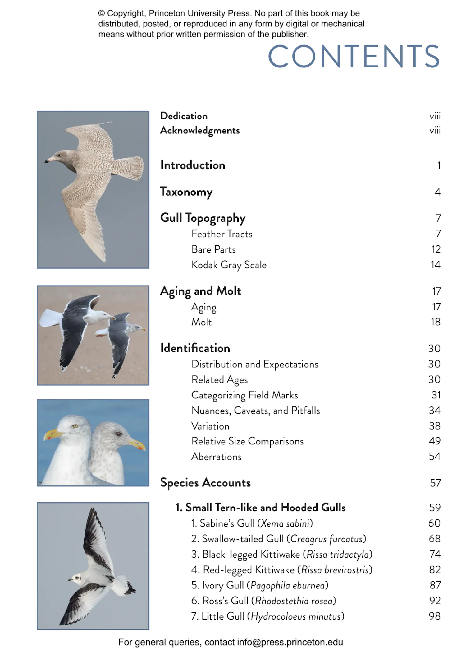 The Gull Guide | Princeton University Press