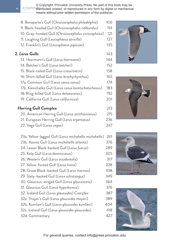 The Gull Guide | Princeton University Press