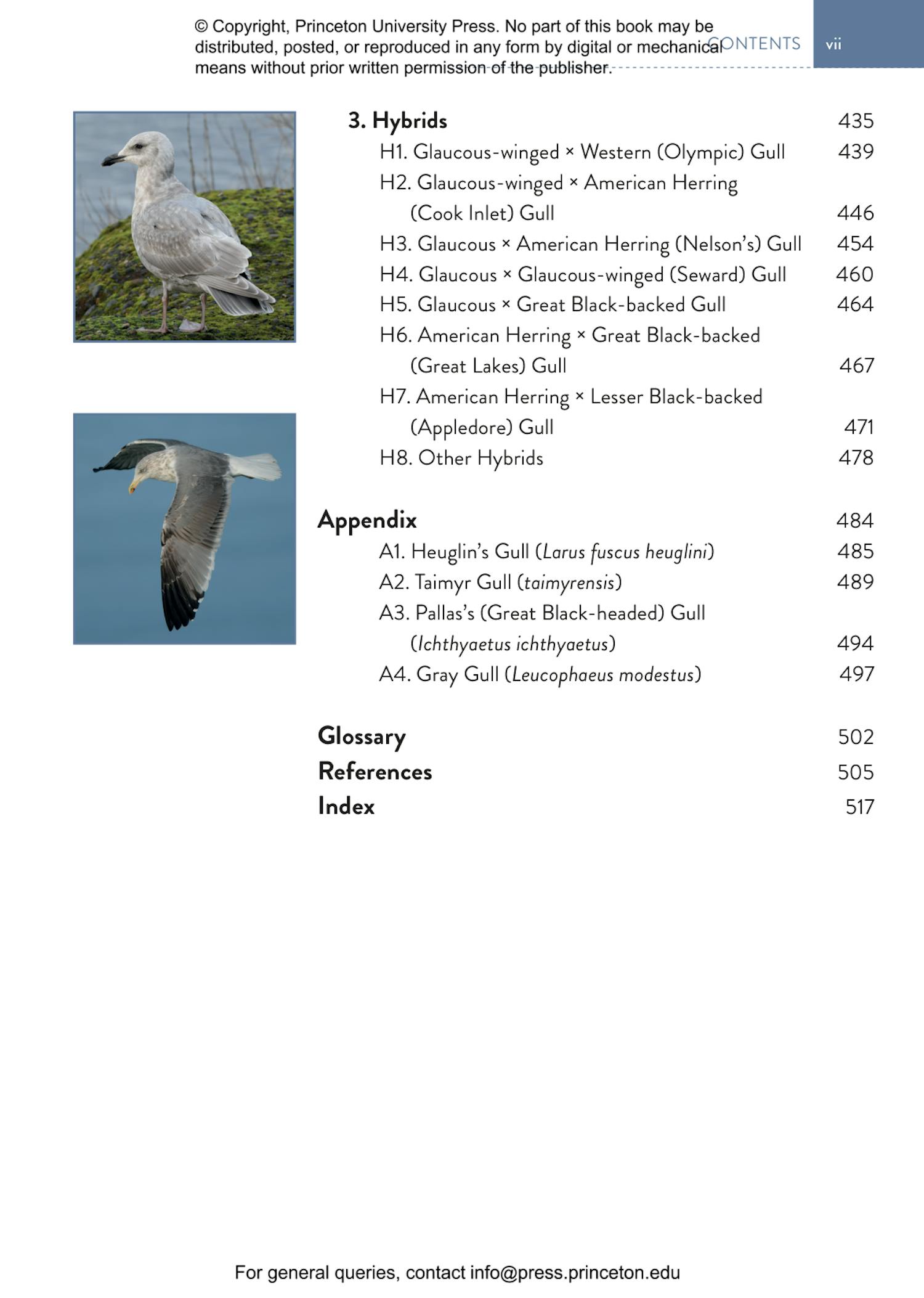 The Gull Guide | Princeton University Press