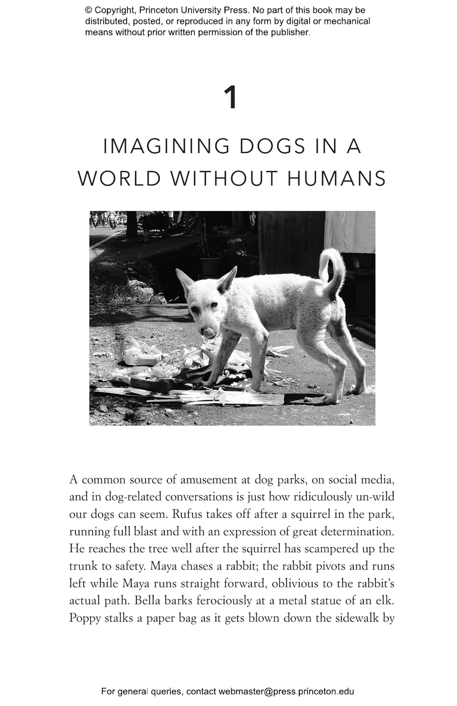 A Dog's World | Princeton University Press