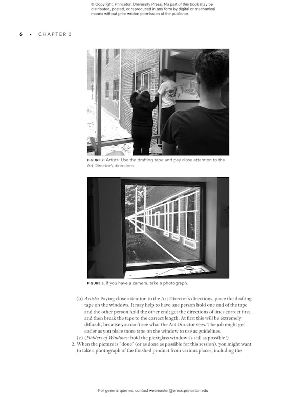 Perspective and Projective Geometry | Princeton University Press