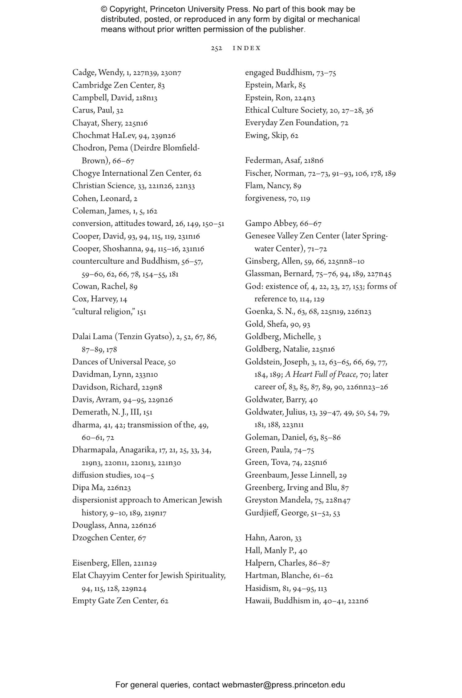 American JewBu | Princeton University Press