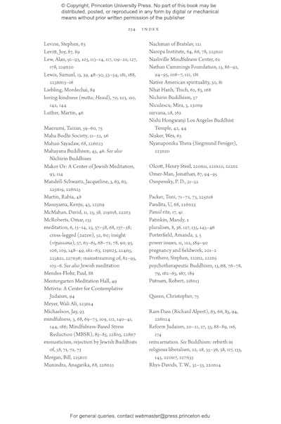 American JewBu | Princeton University Press