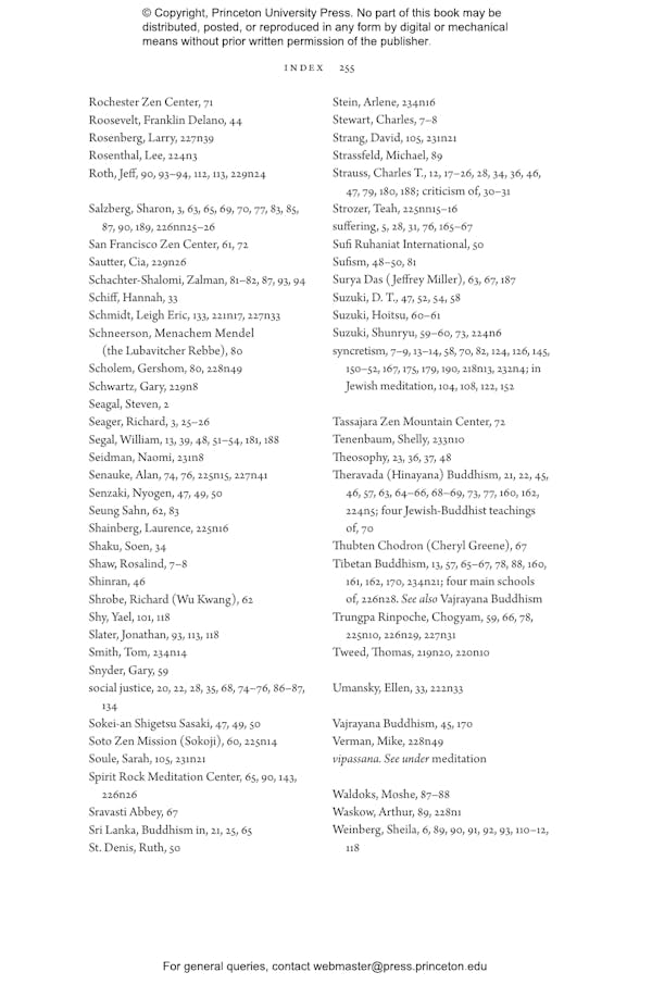 American JewBu | Princeton University Press