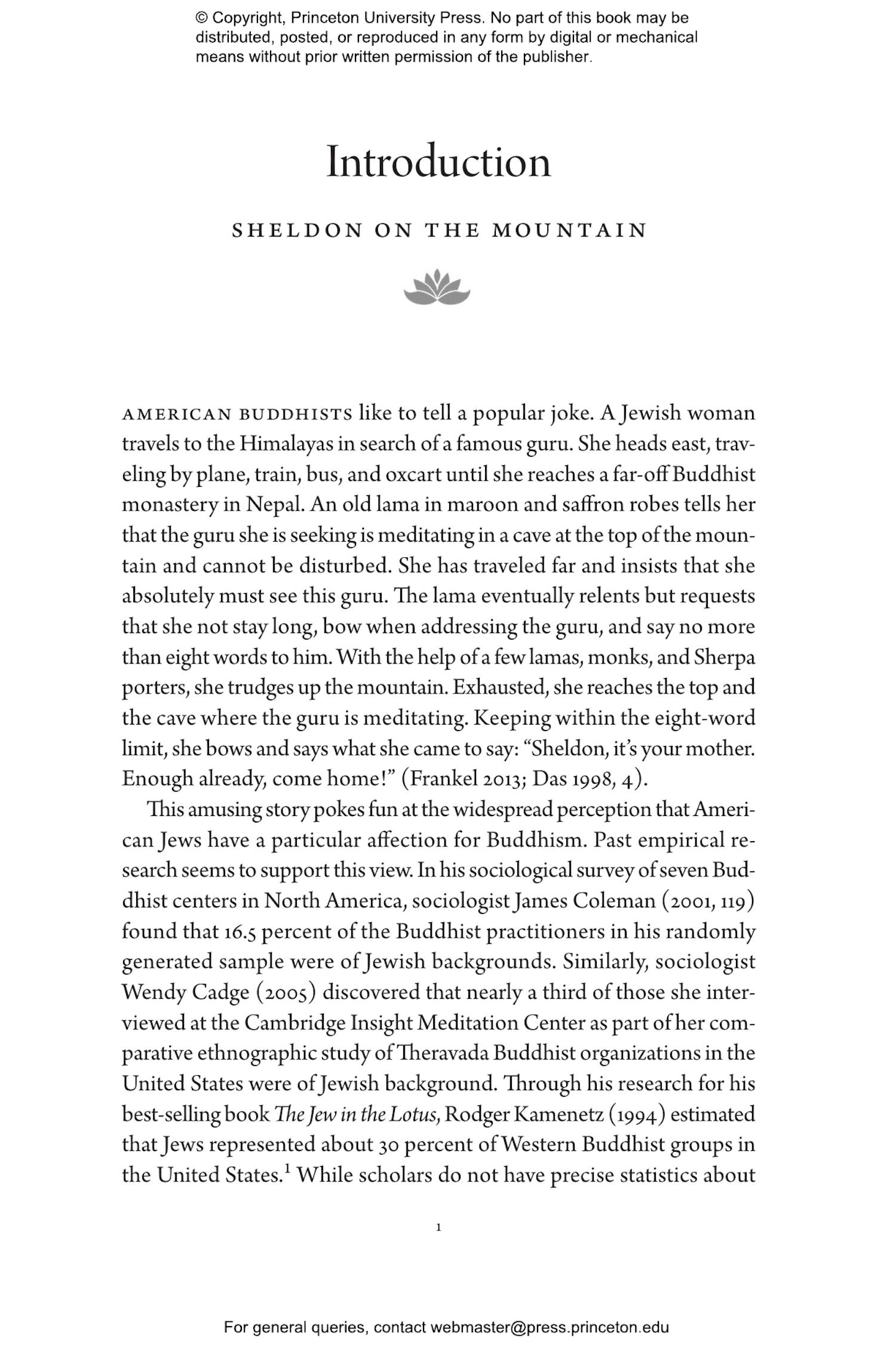 American JewBu | Princeton University Press