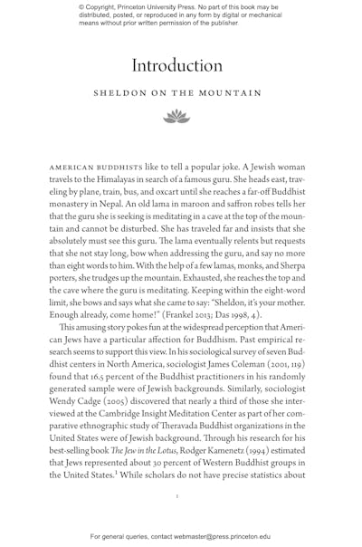 American JewBu | Princeton University Press