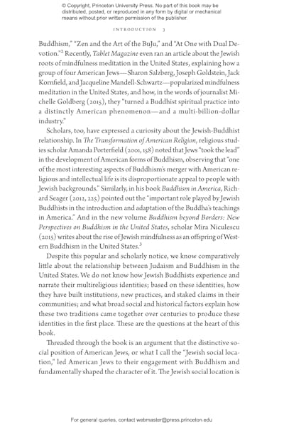 American JewBu | Princeton University Press