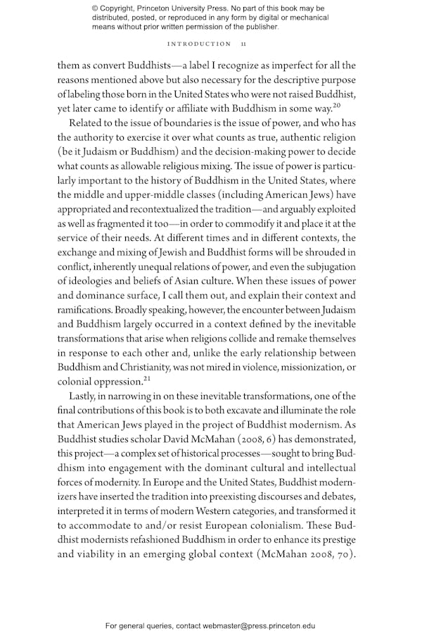 American JewBu | Princeton University Press