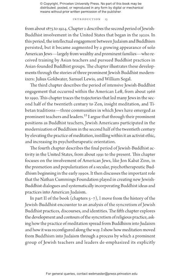 American JewBu | Princeton University Press