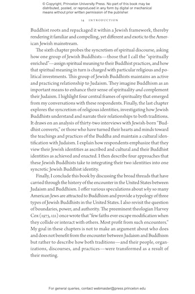 American JewBu | Princeton University Press