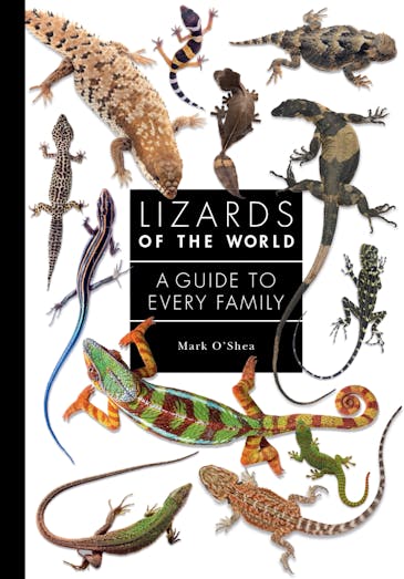 Lizards of the World | Princeton University Press