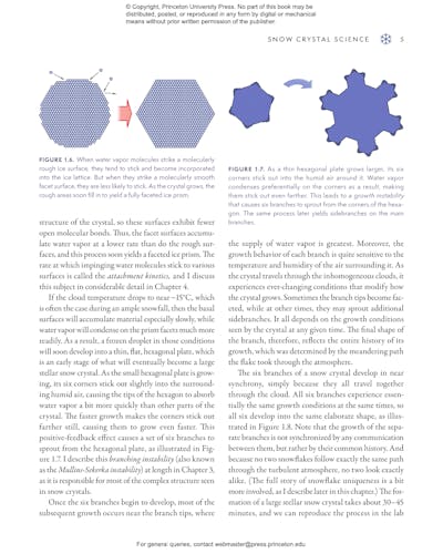 Snow Crystals | Princeton University Press