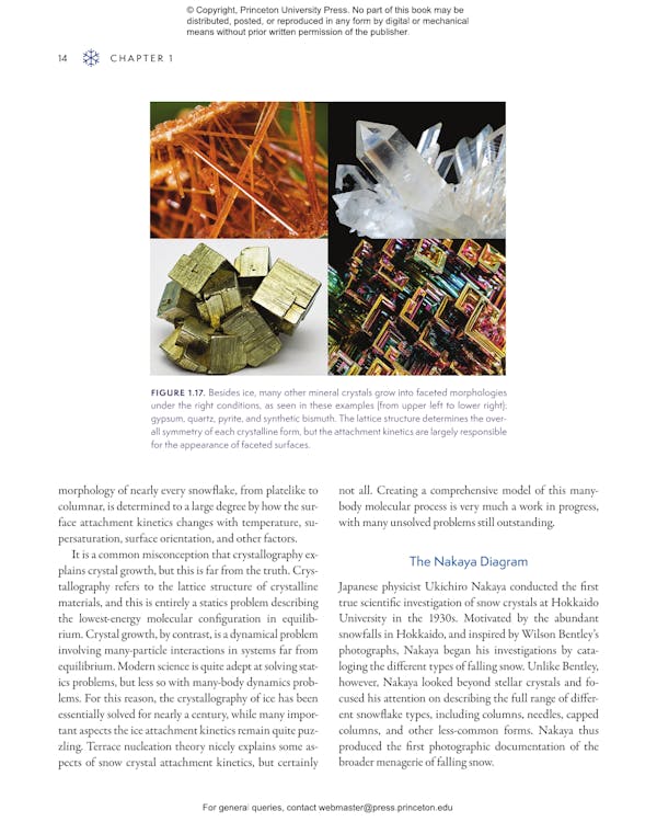 Snow Crystals | Princeton University Press