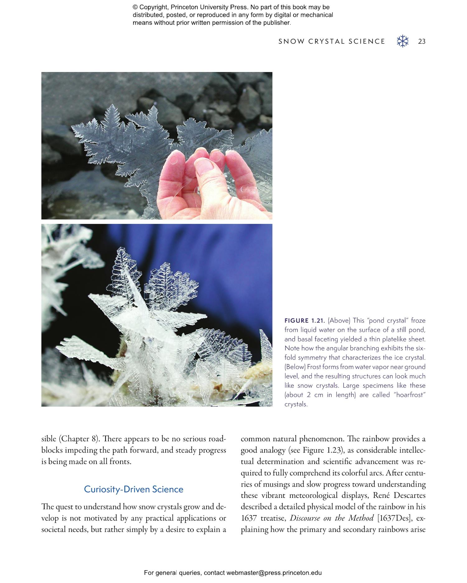 Snow Crystals | Princeton University Press