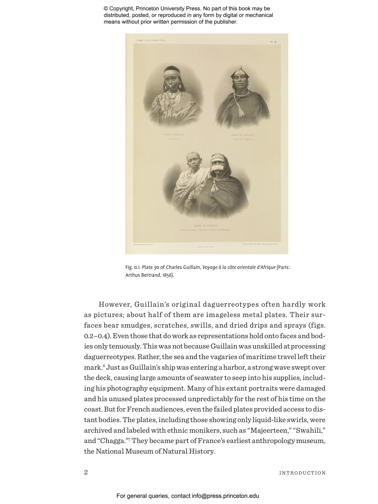 The Surface of Things | Princeton University Press