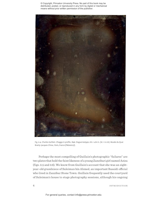 The Surface of Things | Princeton University Press