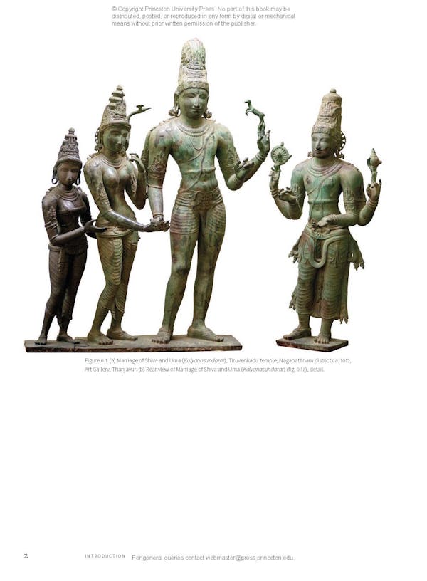 The Thief Who Stole My Heart | Princeton University Press