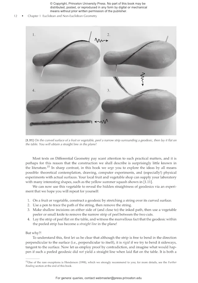 Visual Differential Geometry and Forms | Princeton University Press