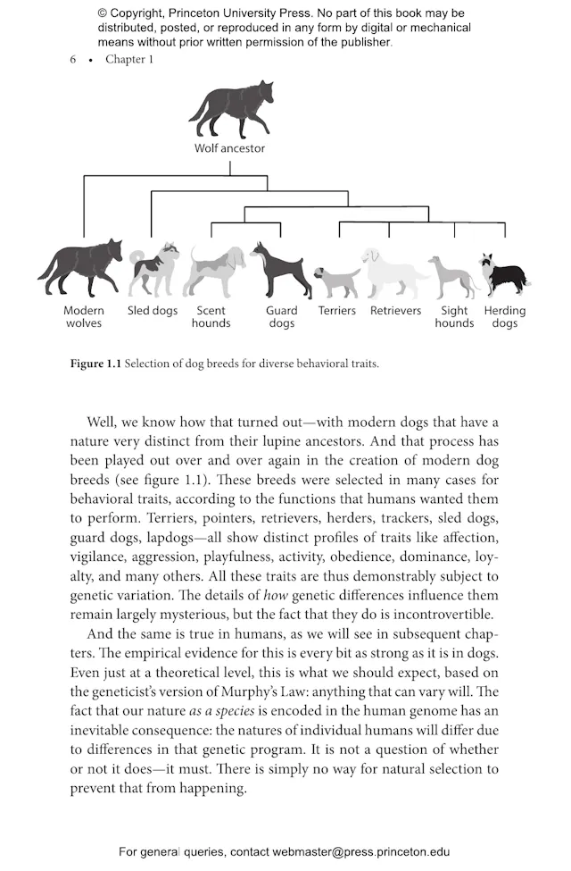 Innate | Princeton University Press