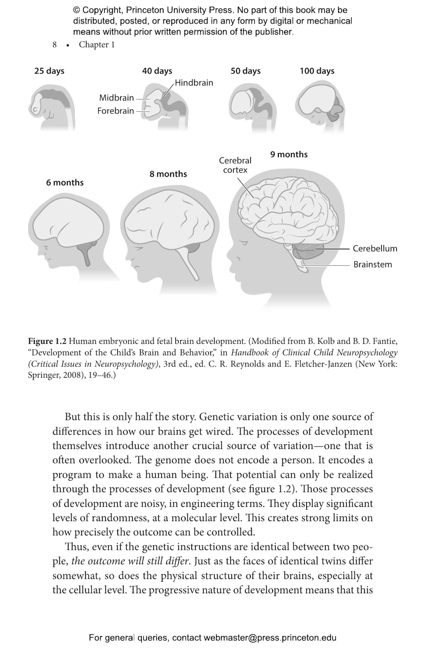 Innate | Princeton University Press