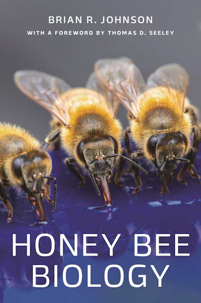 Honeybee Democracy | Princeton University Press