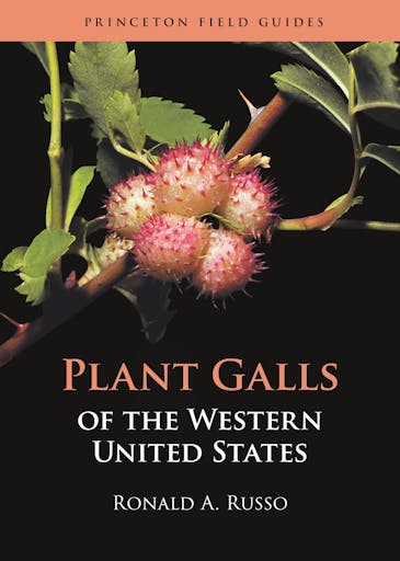 Plant Galls of the Western United States | Princeton University Press