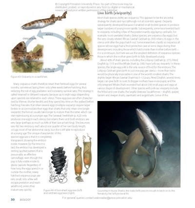 Sharks of the World | Princeton University Press