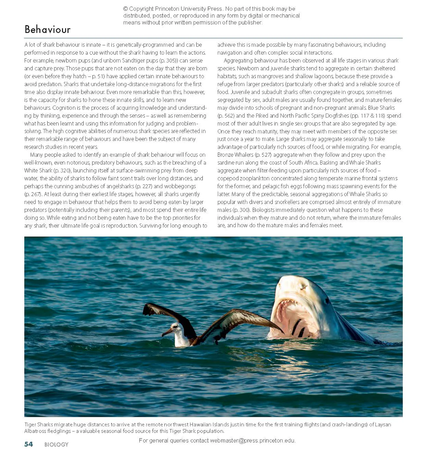 Sharks of the World | Princeton University Press