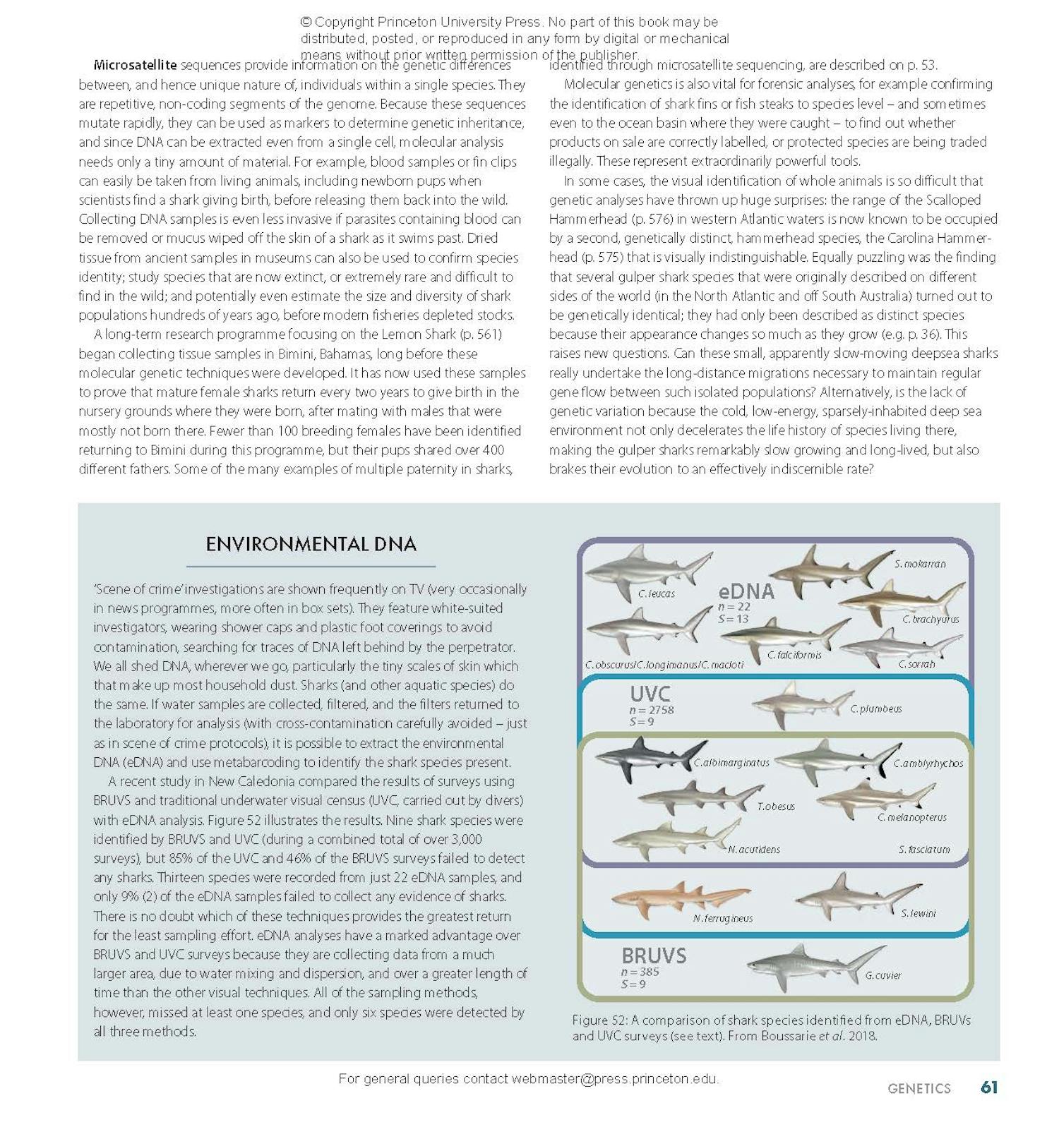 Sharks of the World | Princeton University Press