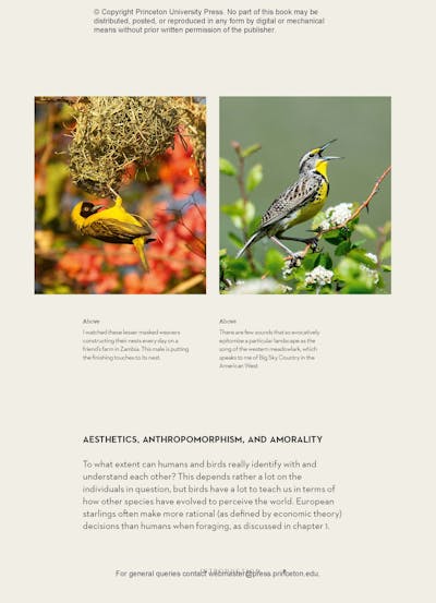 Understanding Bird Behavior | Princeton University Press