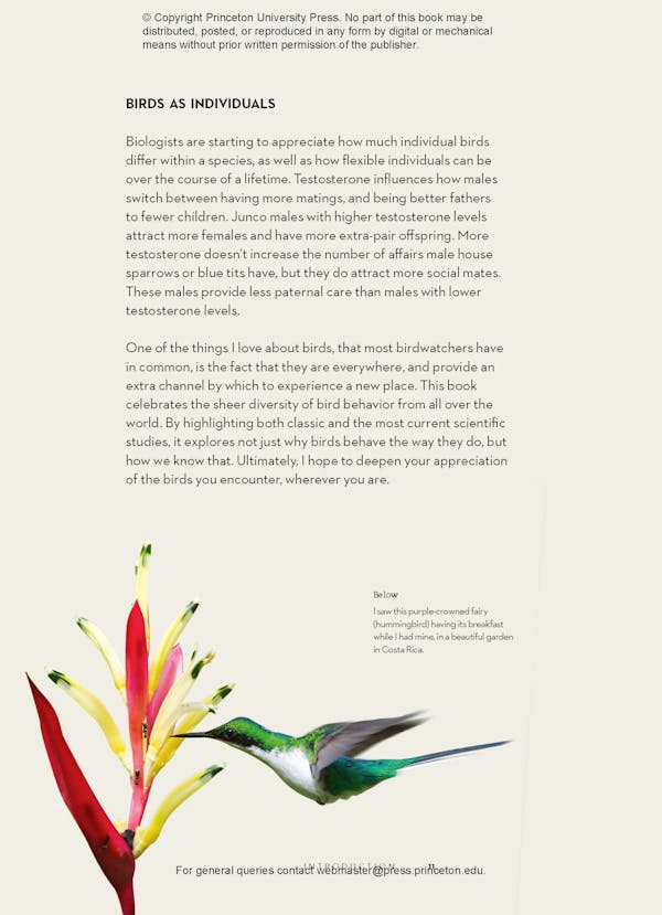 Understanding Bird Behavior | Princeton University Press