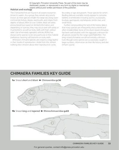 Field Guide to Sharks, Rays and Chimaeras of the East Coast of North ...