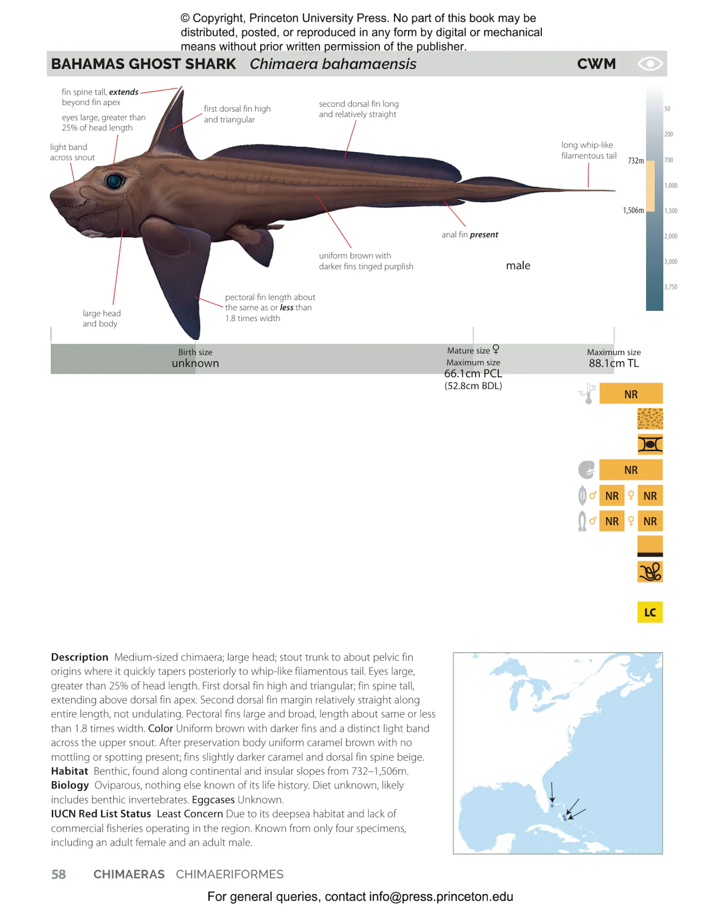 Field Guide to Sharks, Rays and Chimaeras of the East Coast of North ...