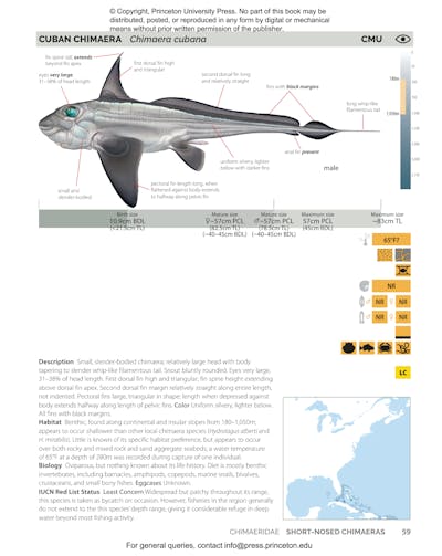 Field Guide to Sharks, Rays and Chimaeras of the East Coast of North ...