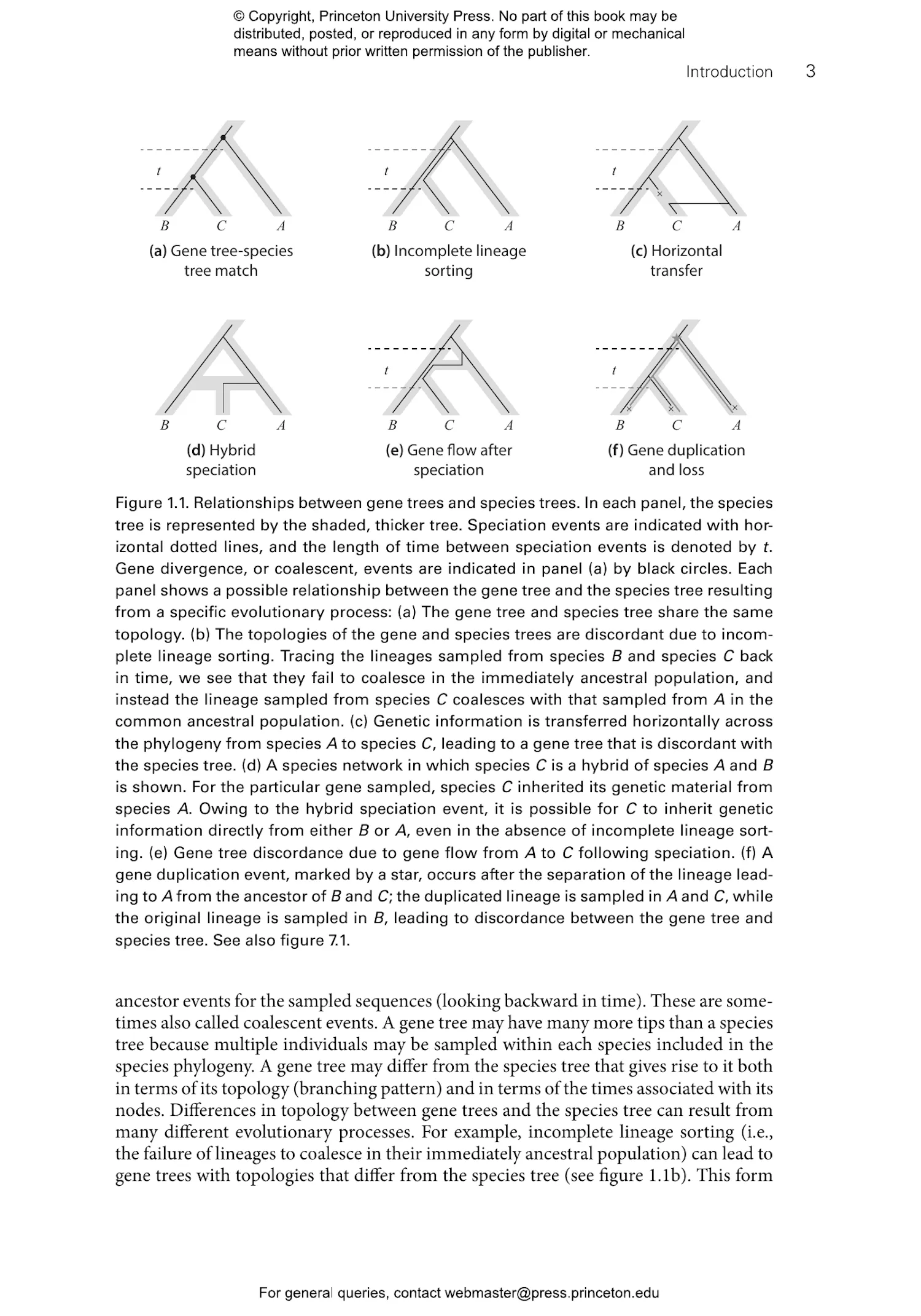 Species Tree Inference | Princeton University Press