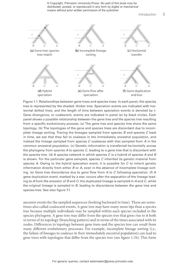 Species Tree Inference | Princeton University Press