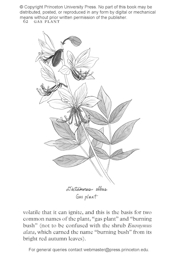 Florapedia | Princeton University Press